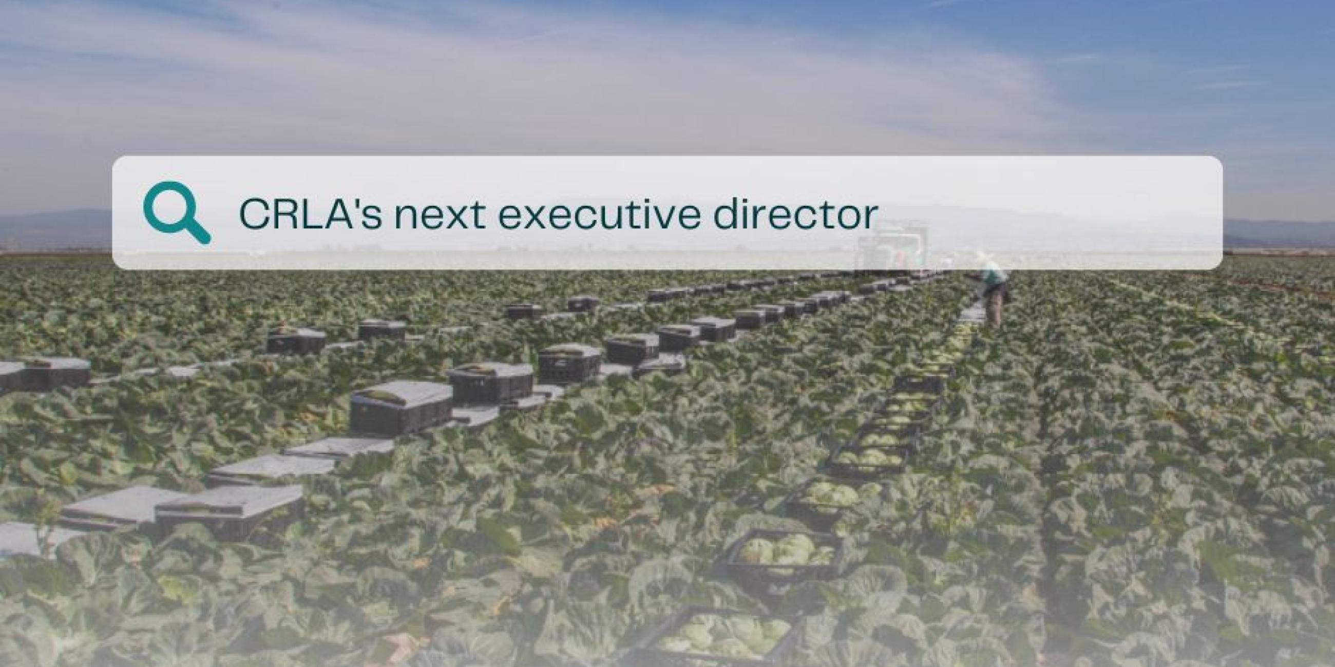 Executive Director Search Now Open to Applicants | California Rural ...